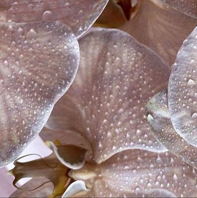 Buccal Massage Balance Remedial